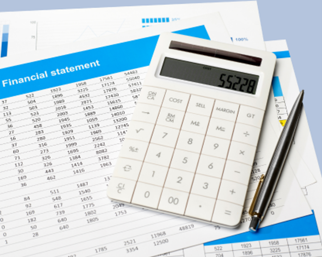 Pro forma financial statements